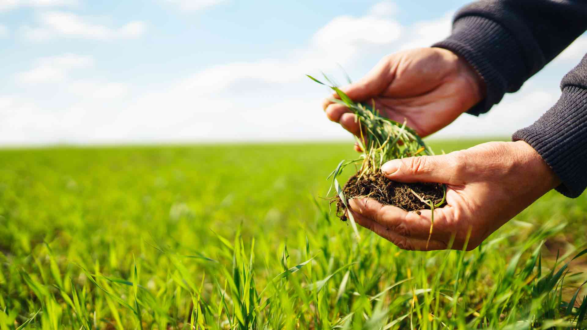 New $282 million program to transform global agrifood systems ...